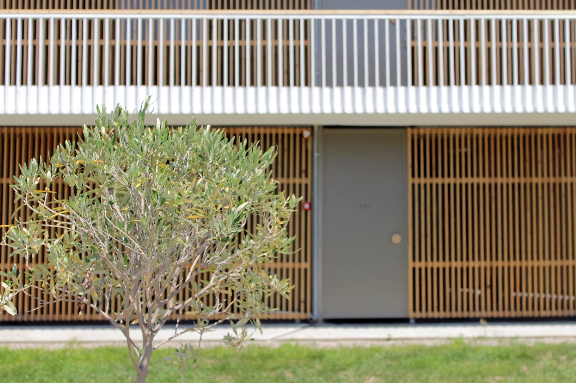 Galería de EcoSuites / Alex A. Tsolakis Architecture - 15