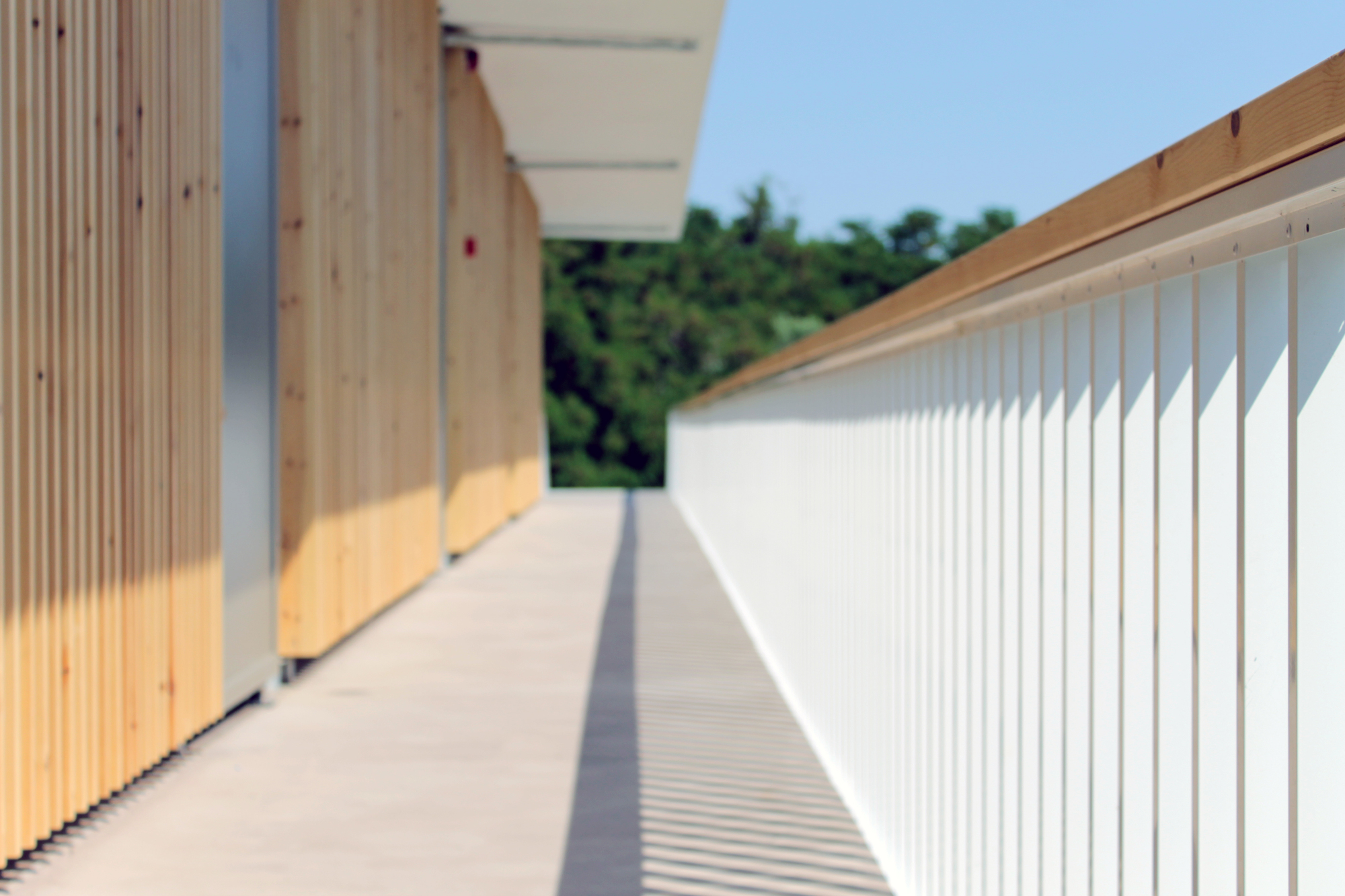 Gallery of ecoSuites, A Reed-Clad Hotel / Alex A. Tsolakis Architecture ...