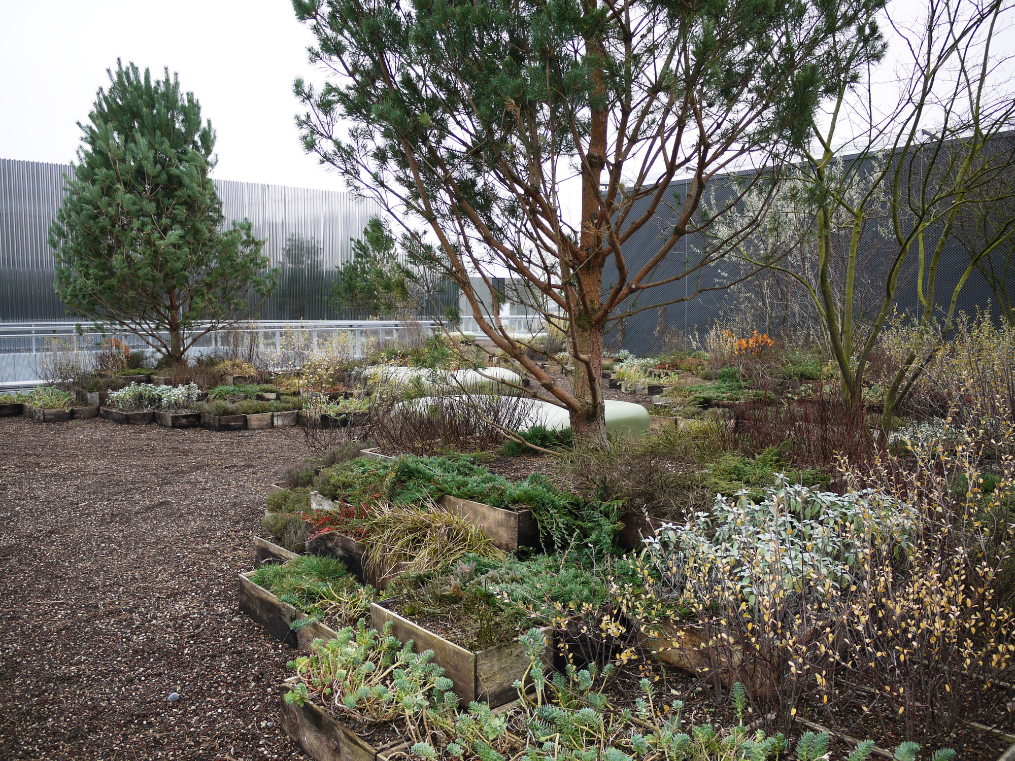 Galeria de Terraço Jardim Toni Areal / Studio Vulkan Landscape ...