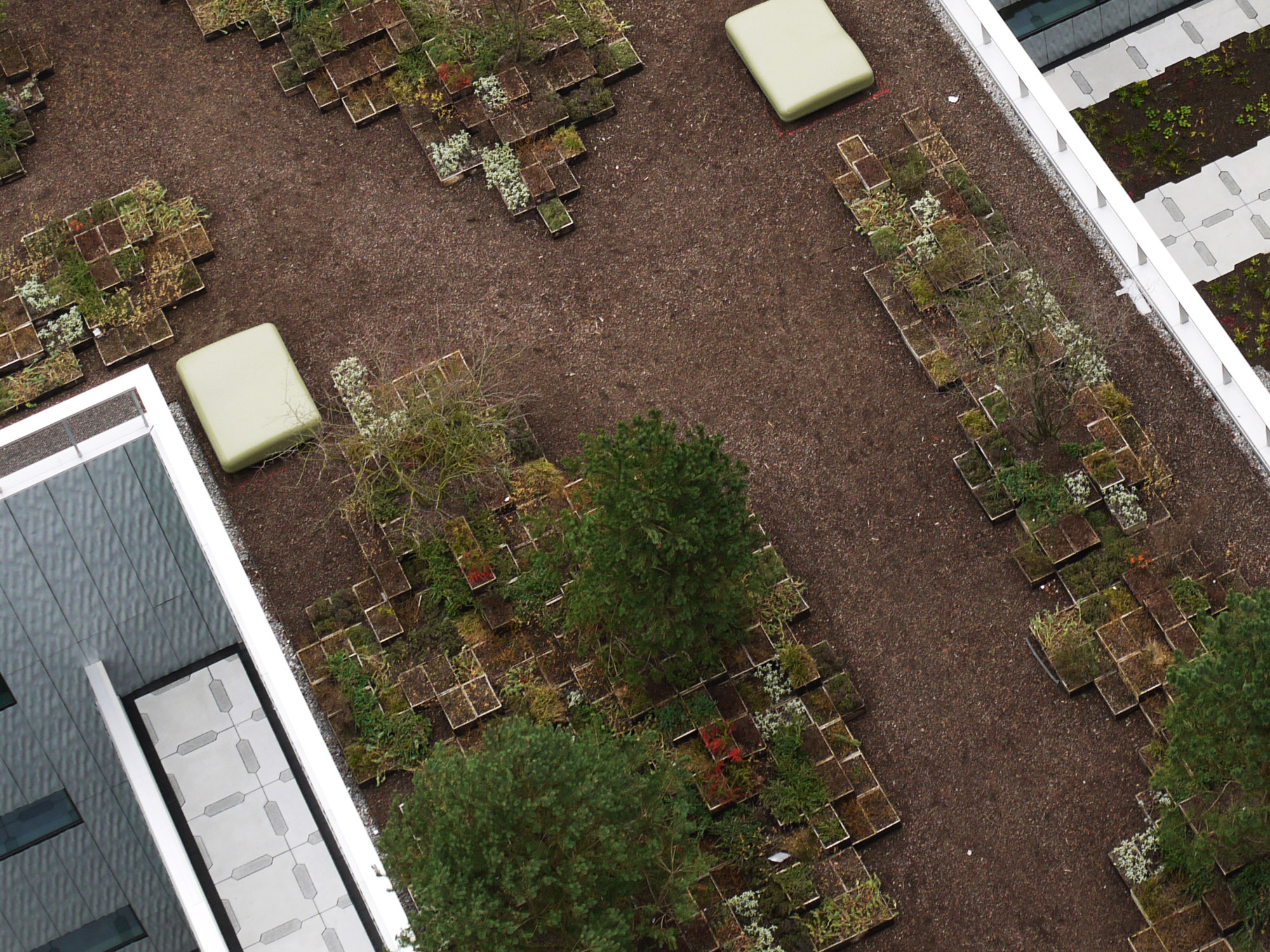 Gallery of Toni Areal Roof Garden / Studio Vulkan Landscape ...