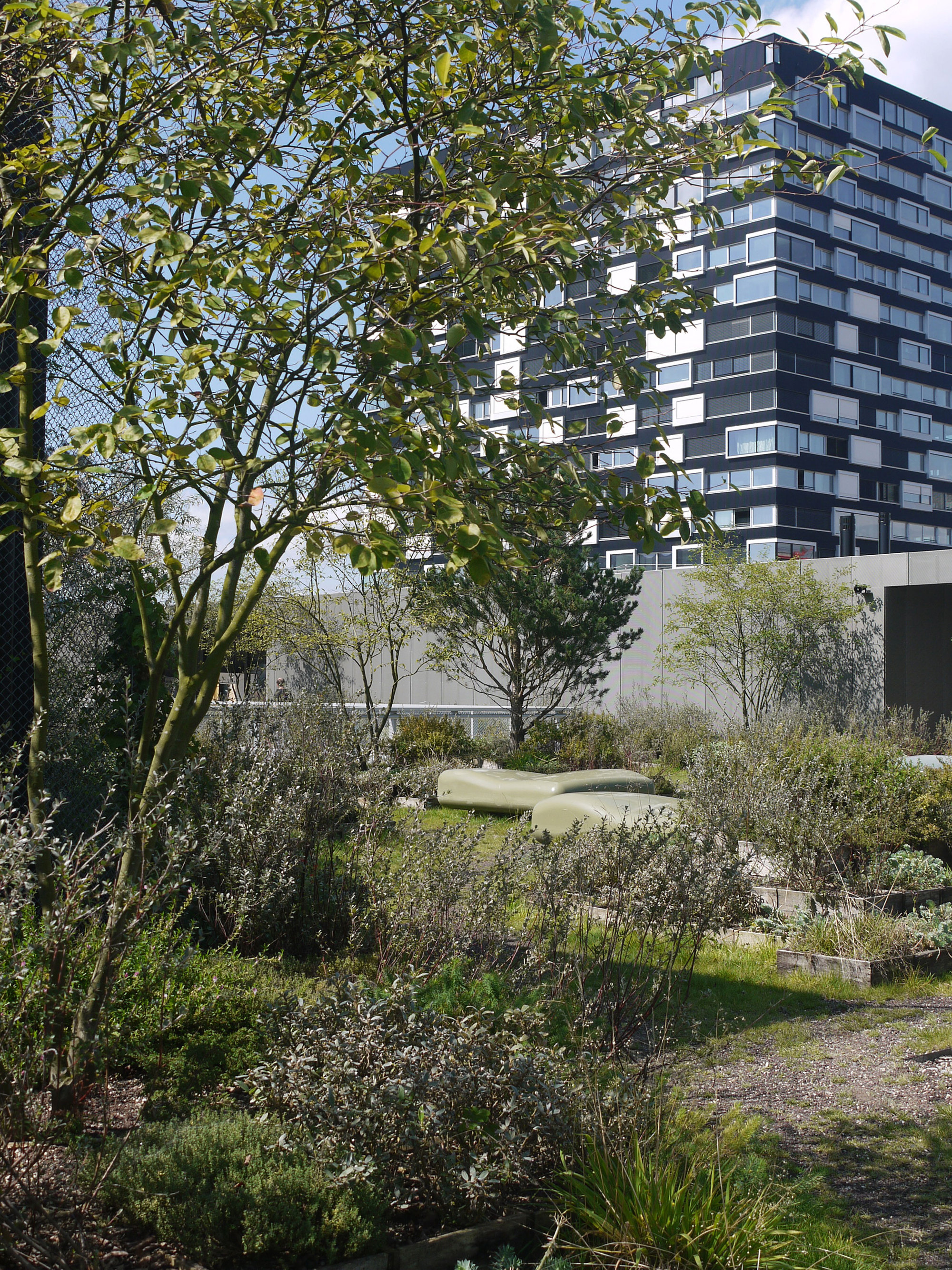 Galeria de Terraço Jardim Toni Areal / Studio Vulkan Landscape ...