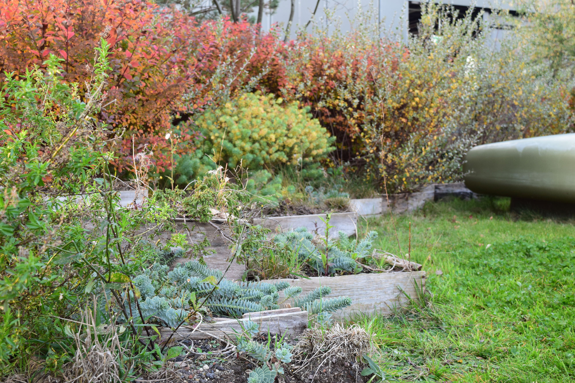 Galeria de Terraço Jardim Toni Areal / Studio Vulkan Landscape ...