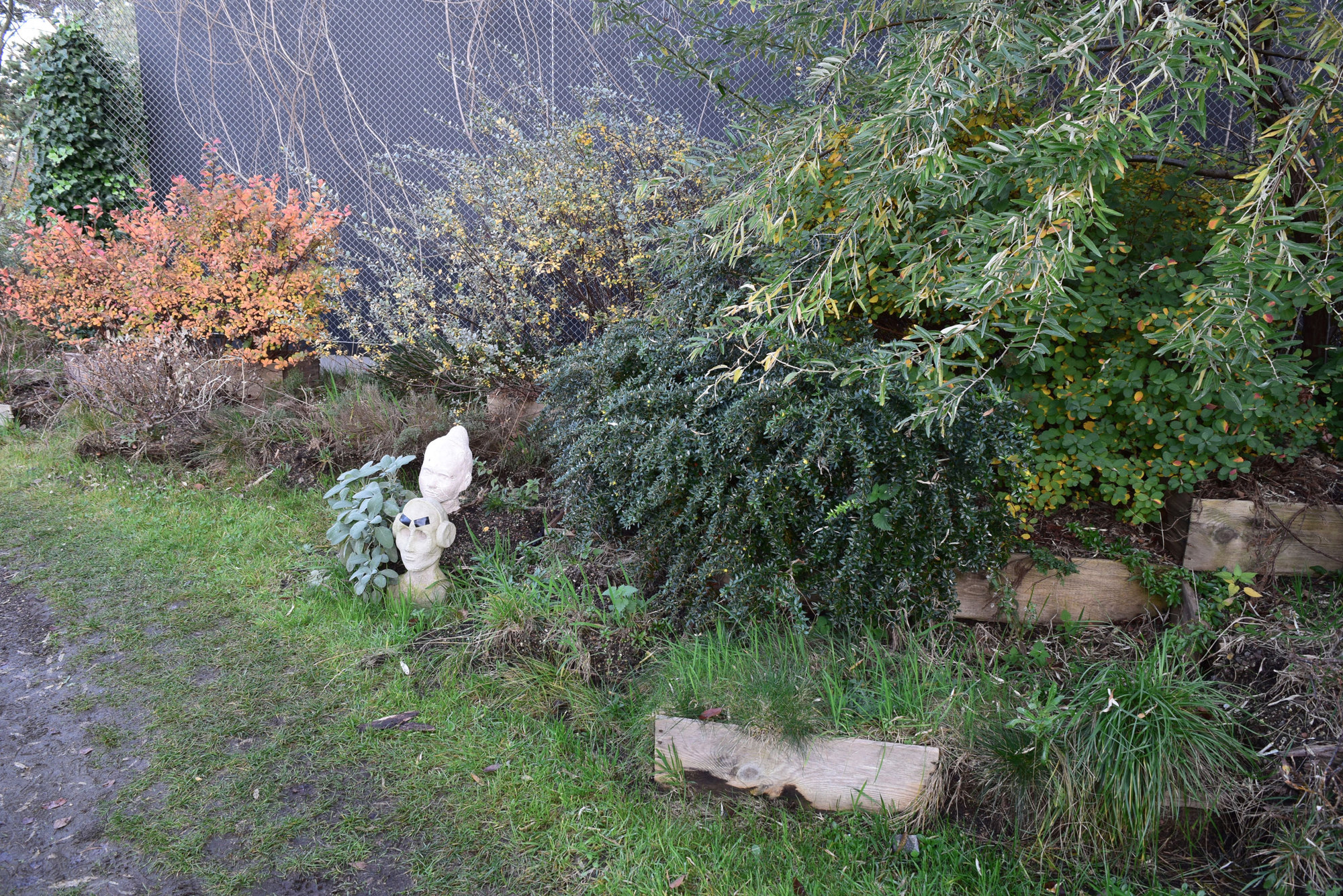 Galeria de Terraço Jardim Toni Areal / Studio Vulkan Landscape ...