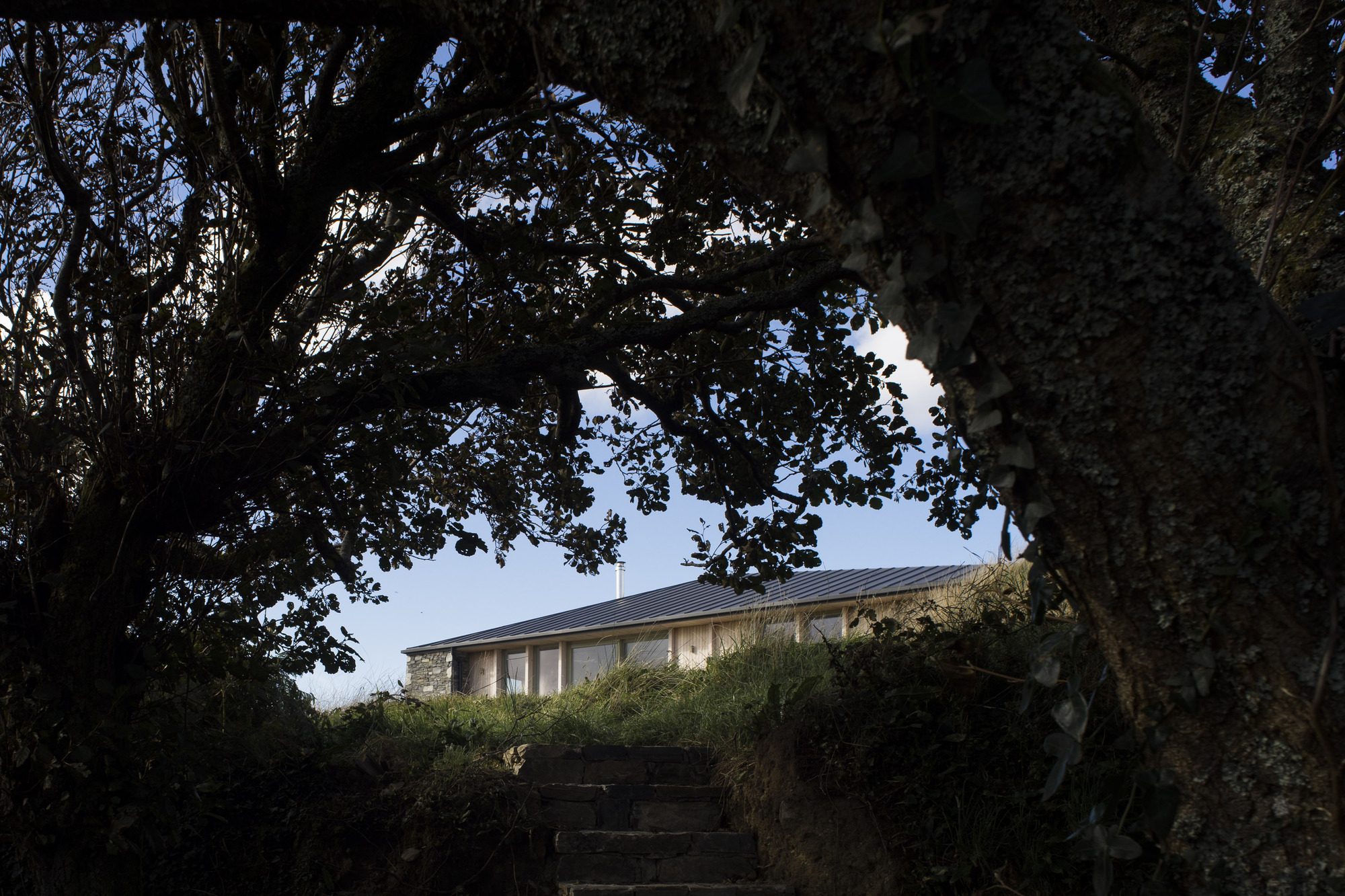 Gallery of House on Clifden Bay / Tierney Haines Architects - 17