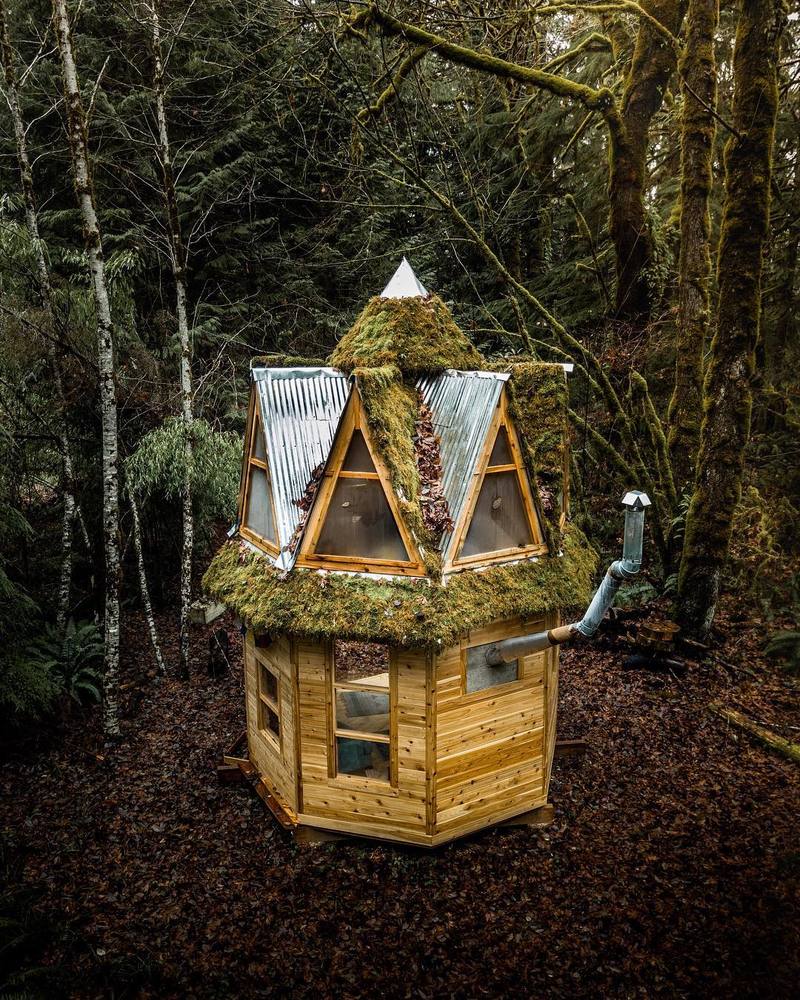 Gallery of This Moss-Covered, Octagonal Micro-Cabin Combines Luxury and ...
