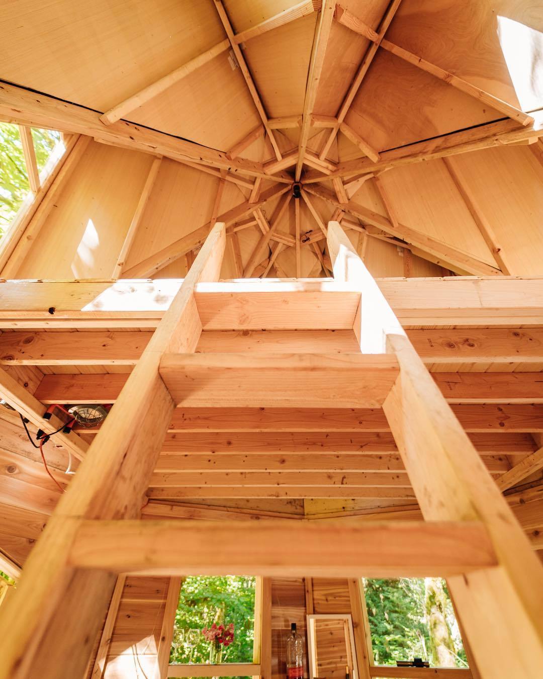 Gallery of This Moss-Covered, Octagonal Micro-Cabin Combines Luxury and ...