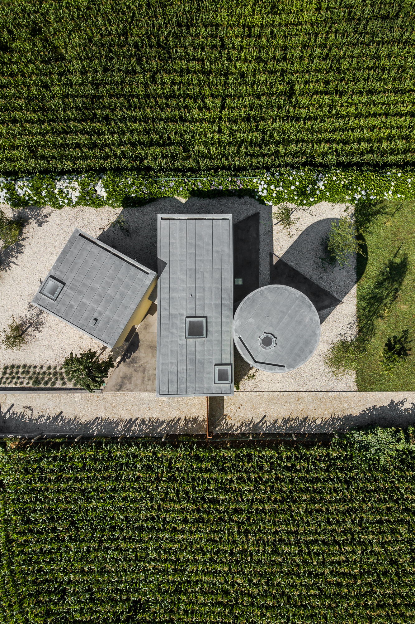 Gallery of Office Building in Arada / Nelson Resende - 2