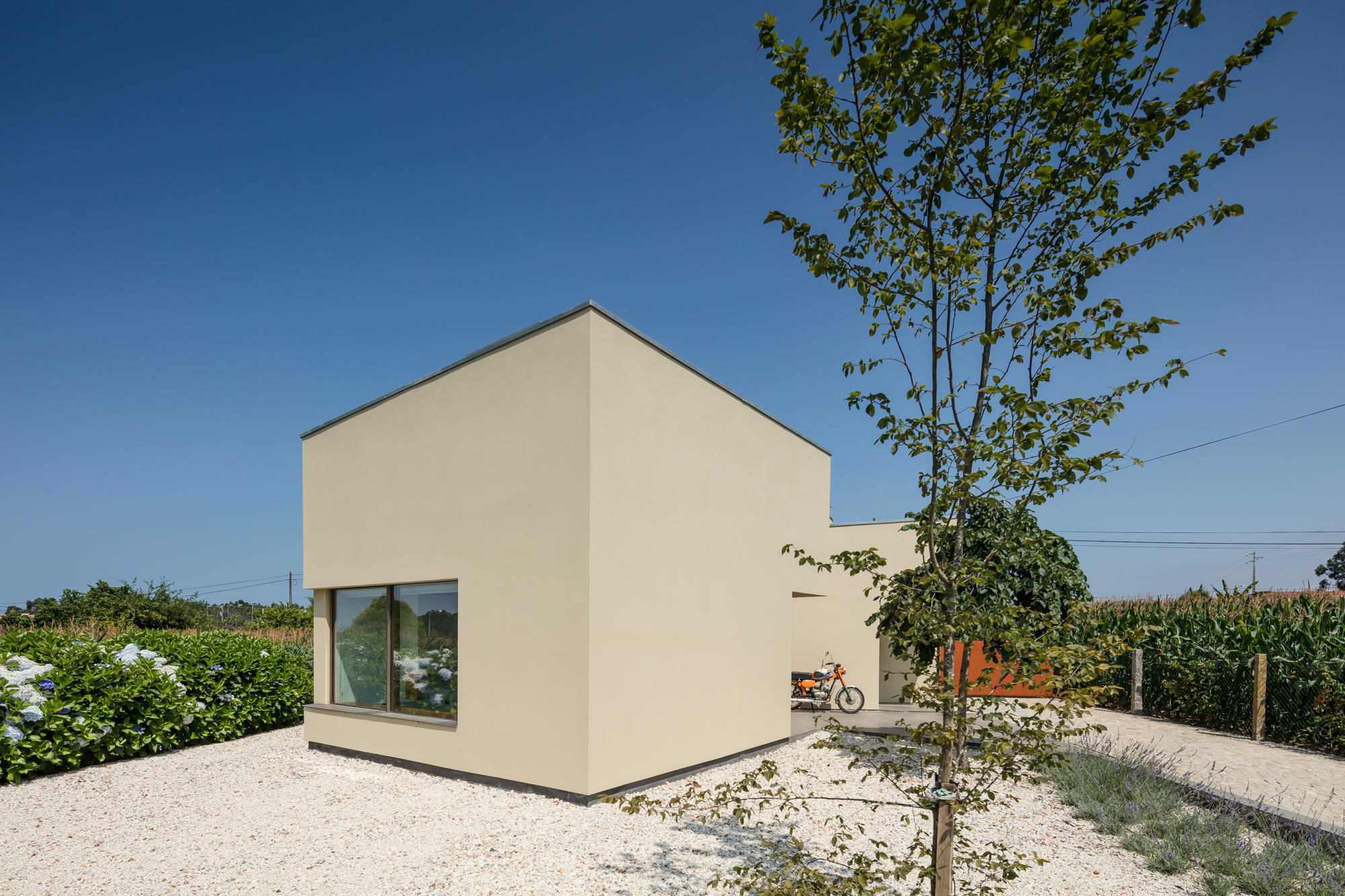 Gallery of Office Building in Arada / Nelson Resende - 11