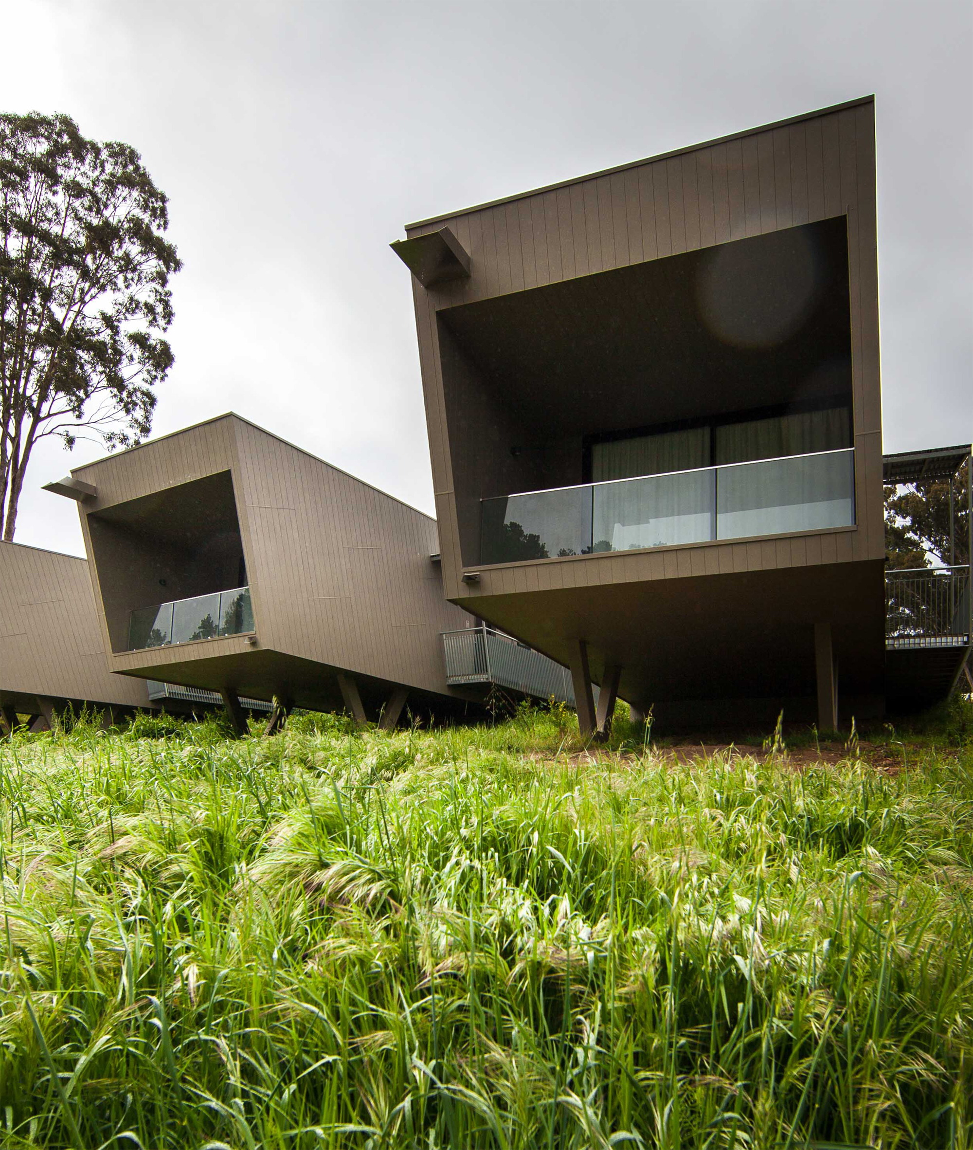 Gallery of Hepburn Spring Pods / CBG Architects - 12