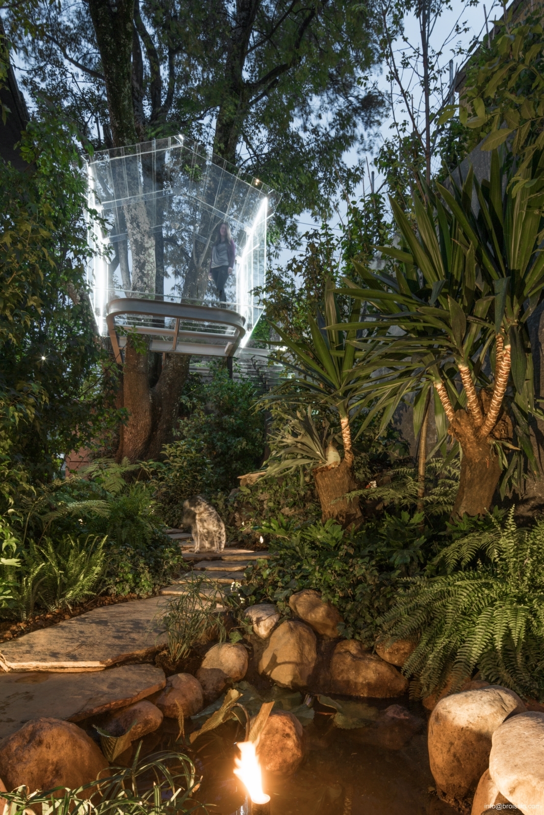 Gallery of Broissin Arquitectos Reinterprets the Tree House in Glass - 7