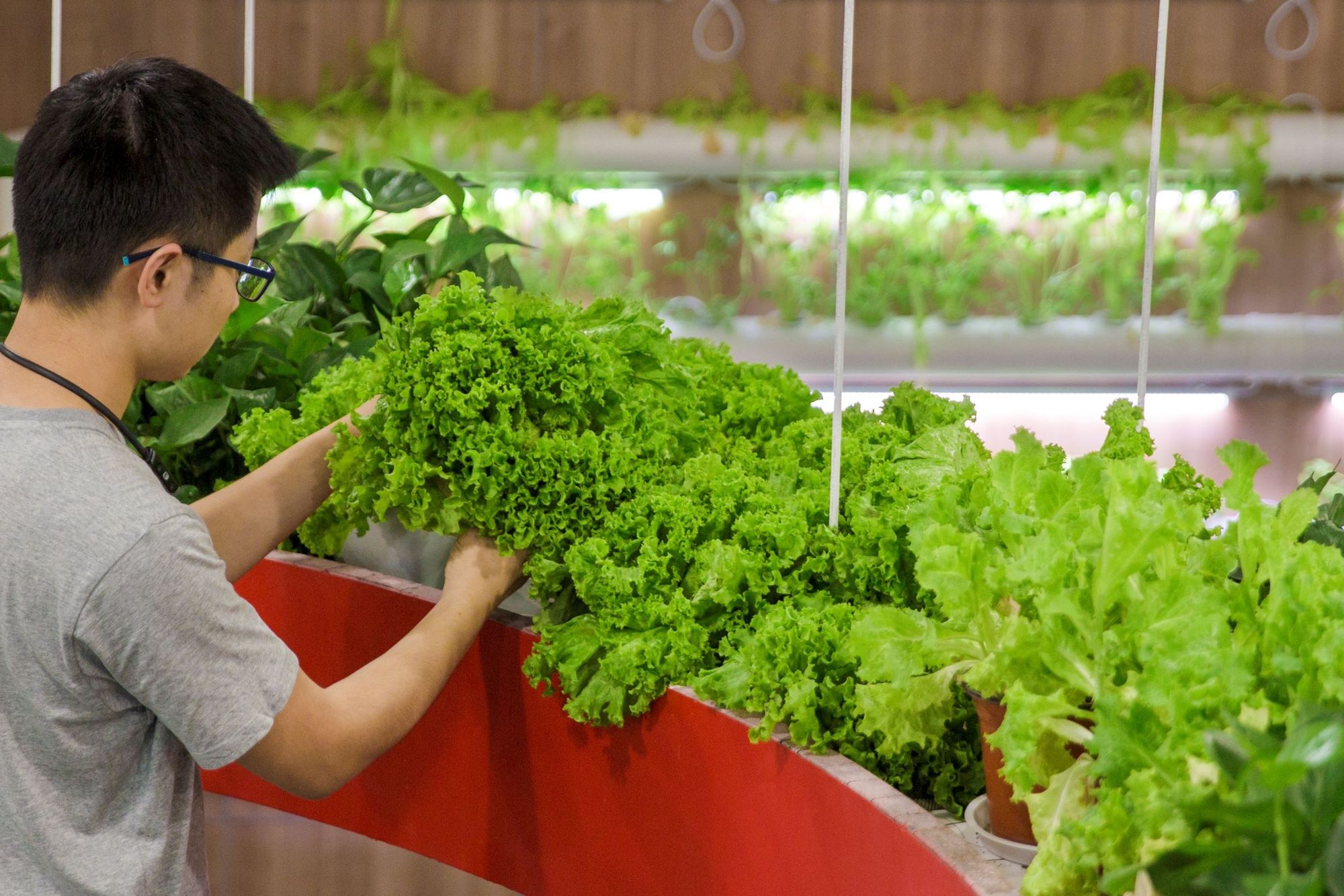 Gallery of Leping Social Entrepreneur Foundation Headquarters / People ...