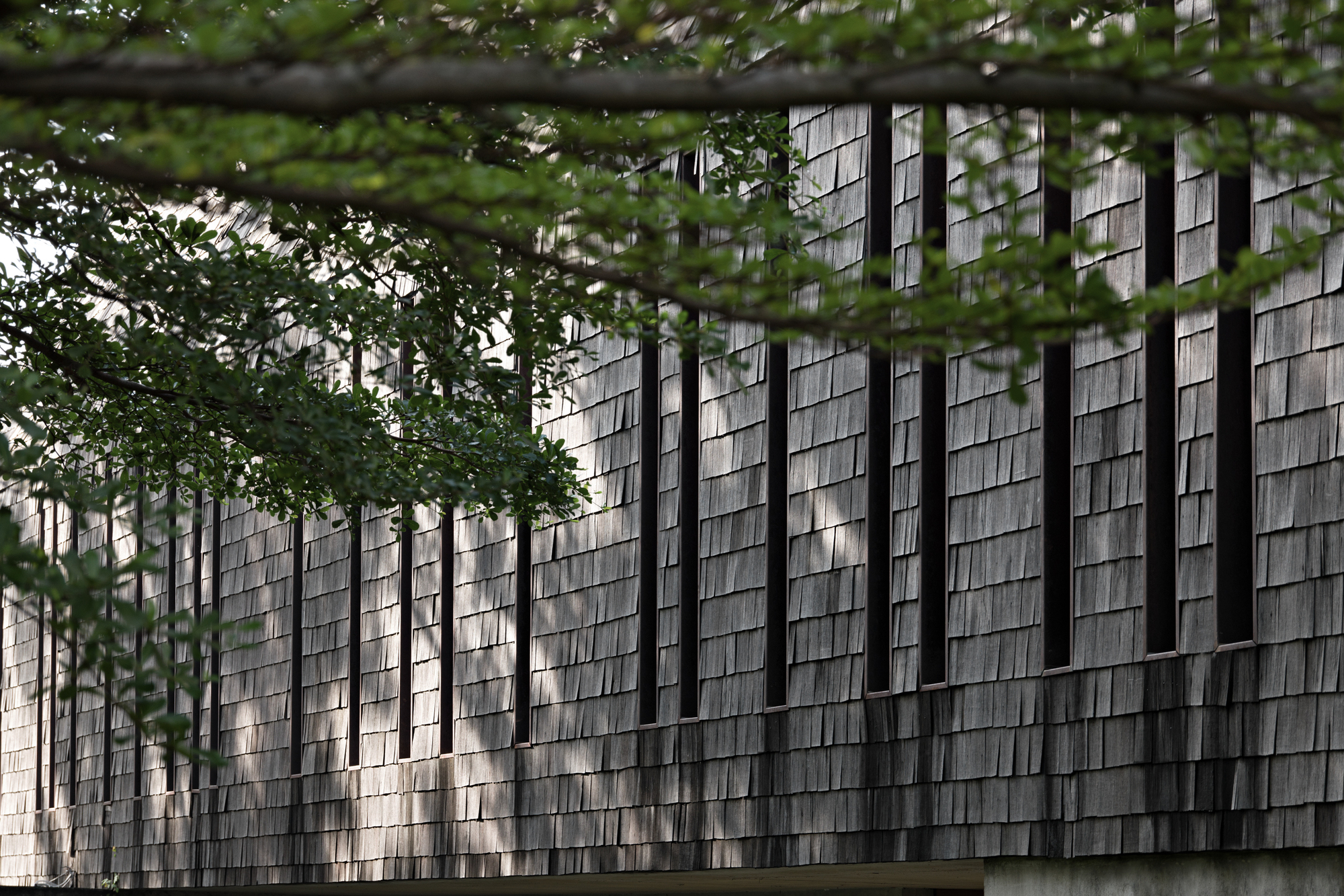 Gallery of EH House / andramatin - 23