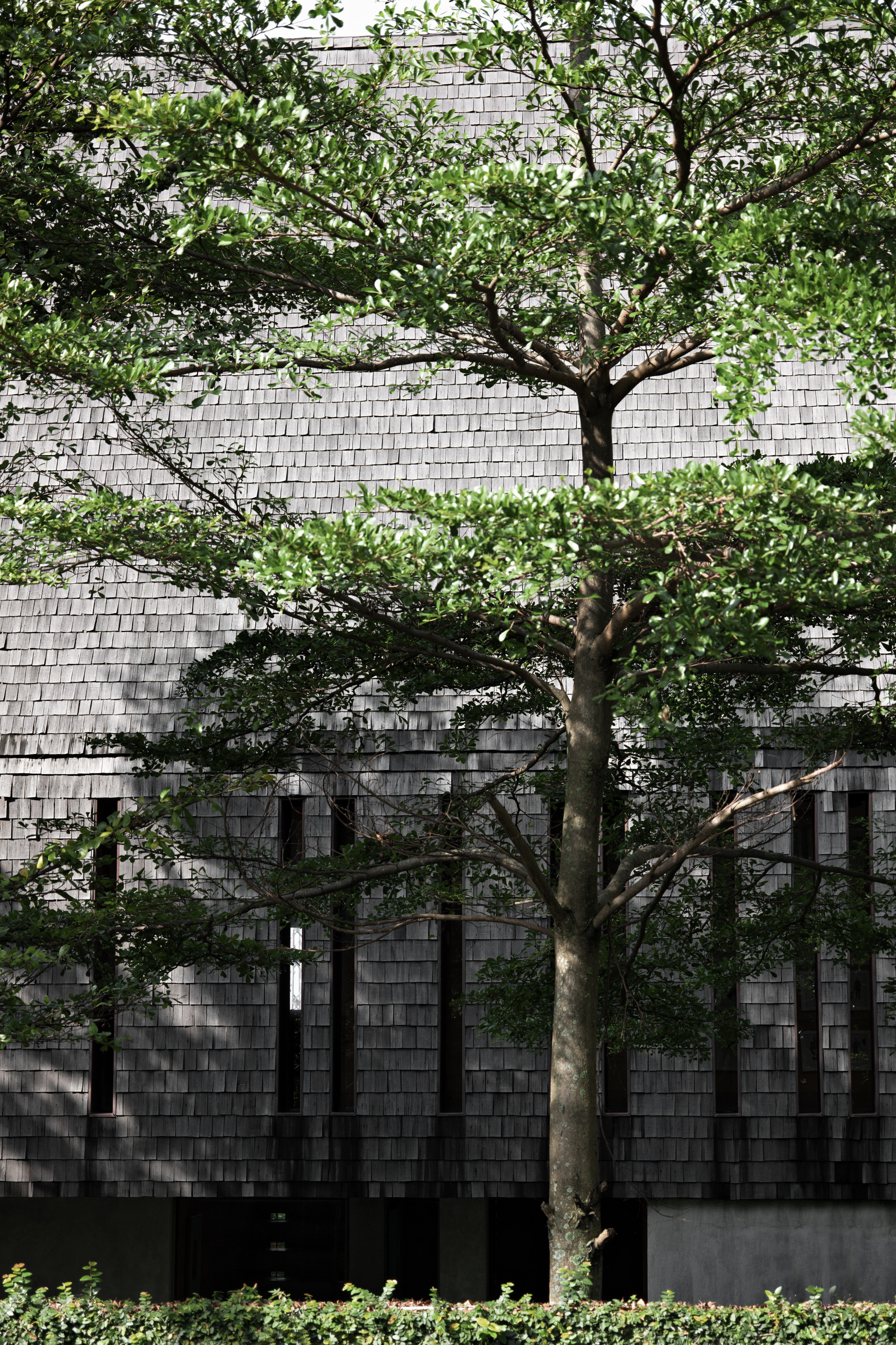 Gallery of EH House / andramatin - 15