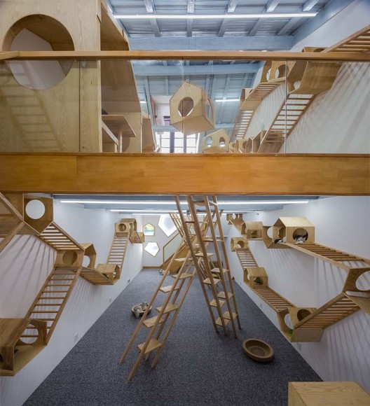 Cat Café TRYST / Parallect Dedign | ArchDaily
