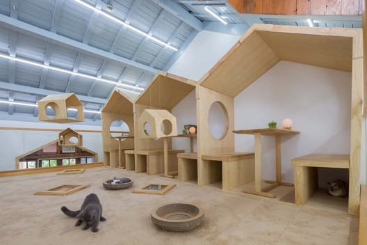 Cat Café TRYST / Parallect Dedign | ArchDaily