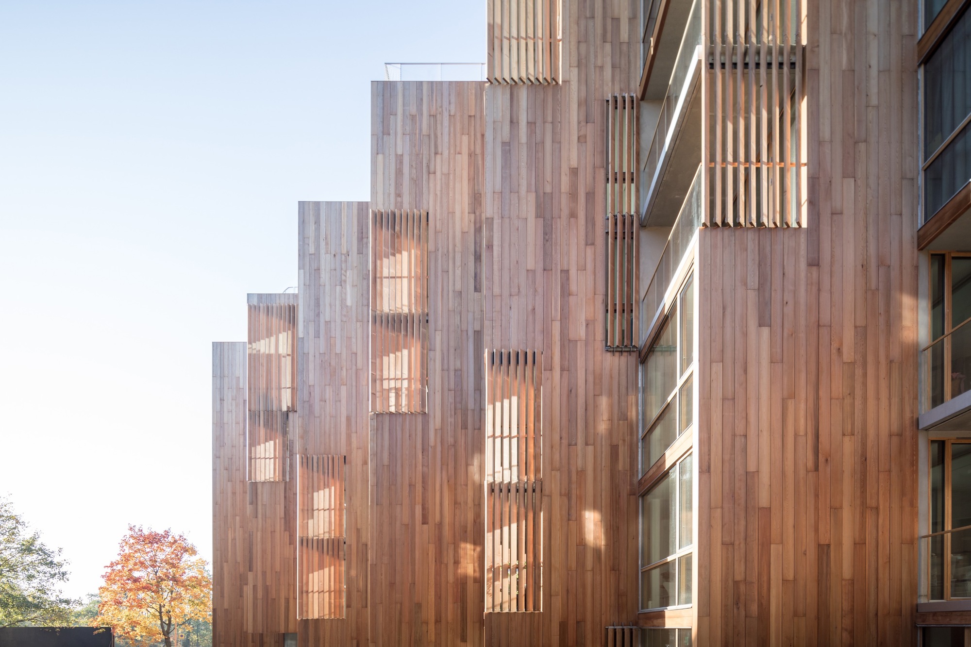 Galería de 79&PARK / BIG - 5