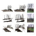 Tips For Drawing Trees in Architectural Renderings | ArchDaily