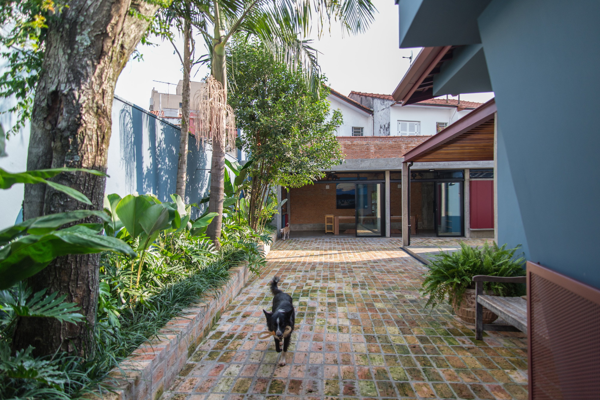 Galería de Casa Azul / Estúdio Lava - 6