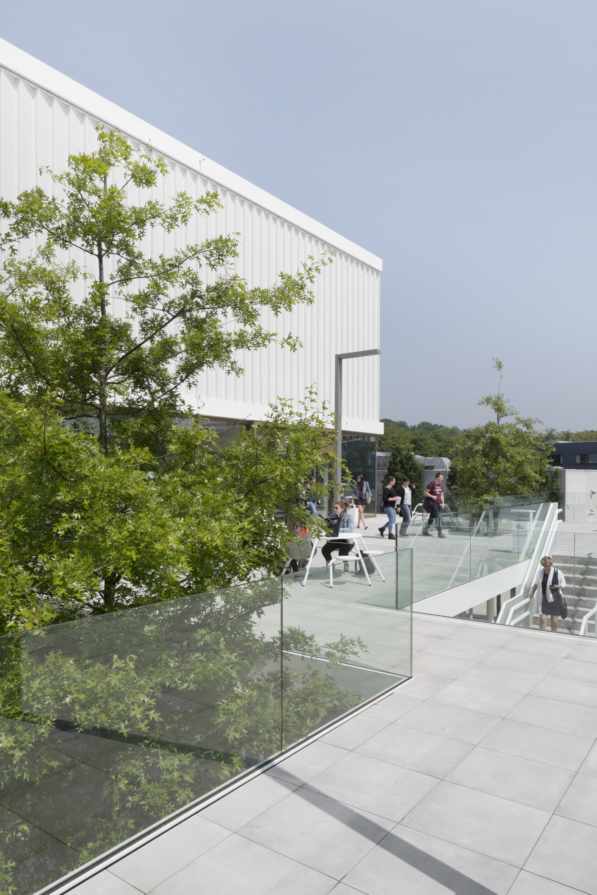 Gallery of The Cube / dmvA - 13