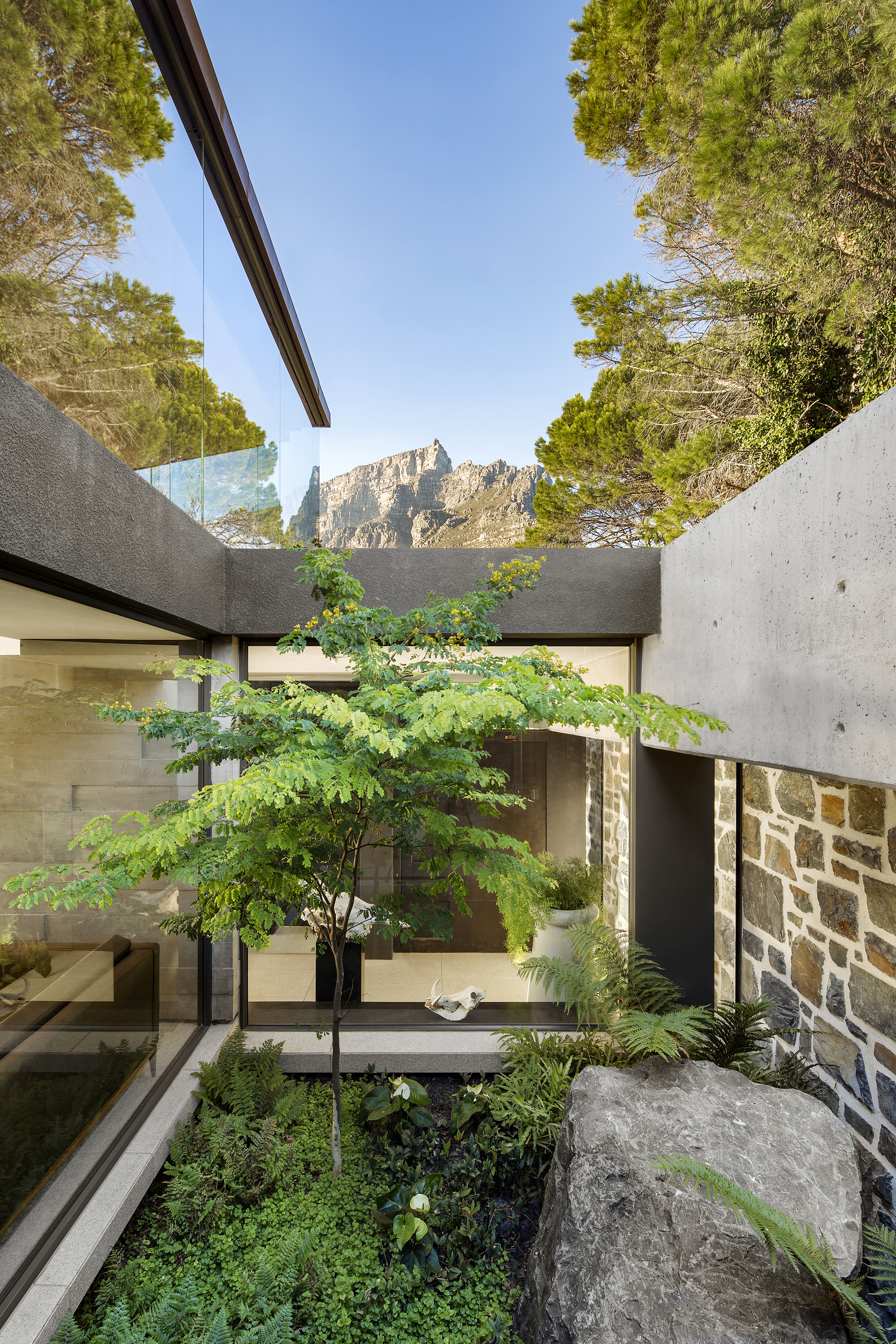Gallery of Kloof 119A / SAOTA - 19