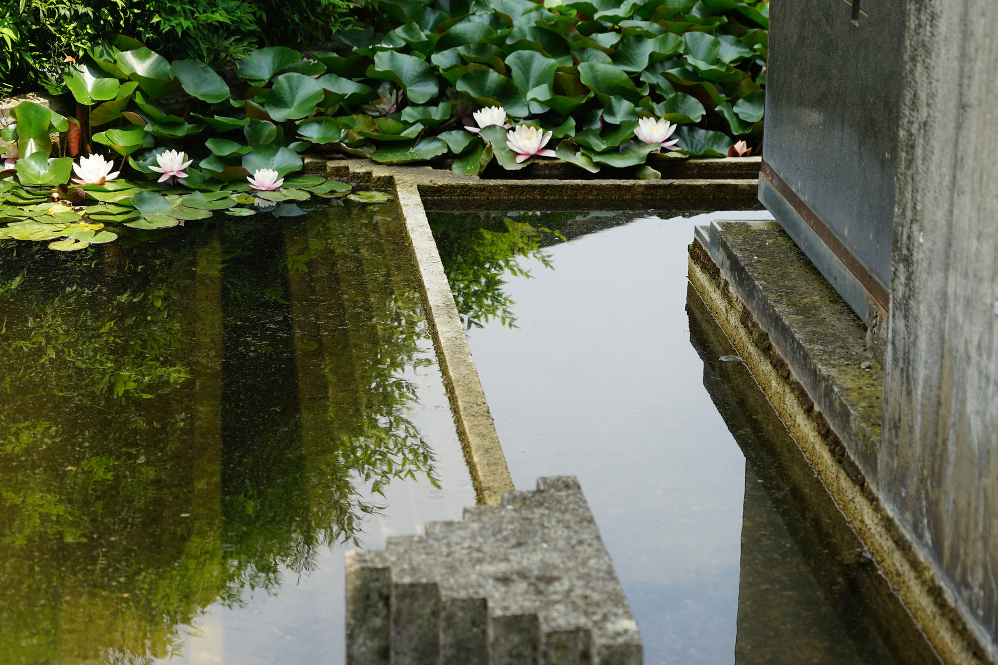 Gallery of Carlo Scarpa, a Virtuous Architect of Water - 5