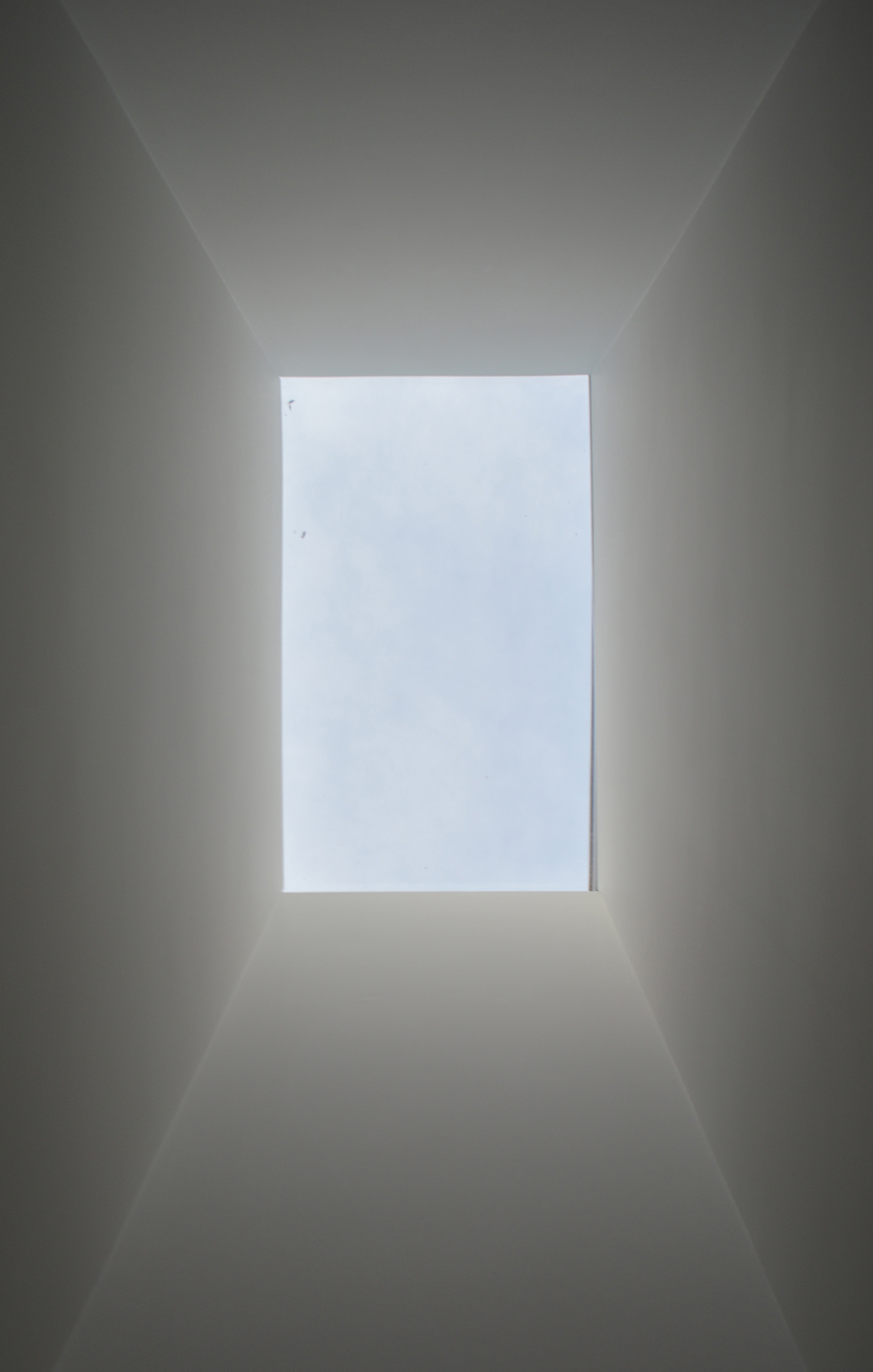 Gallery of A House in a Garden / David Leech Architects - 22