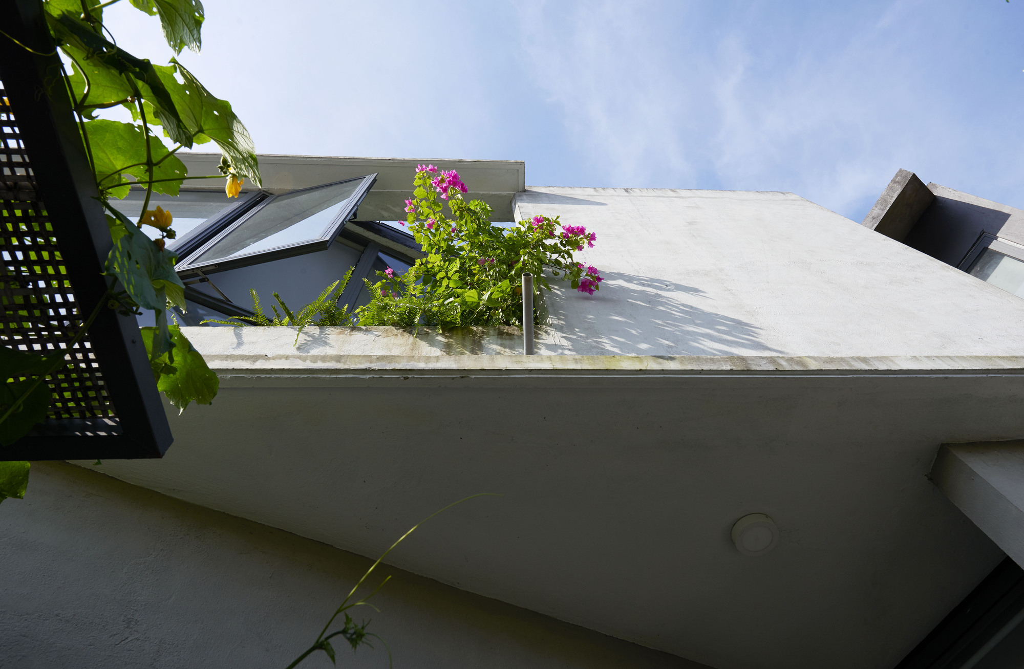 Gallery of Neighbor House / N+architects - 18