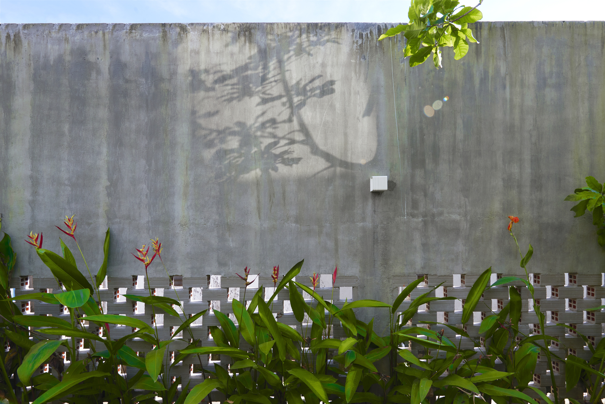 Gallery of Neighbor House / N+architects - 16