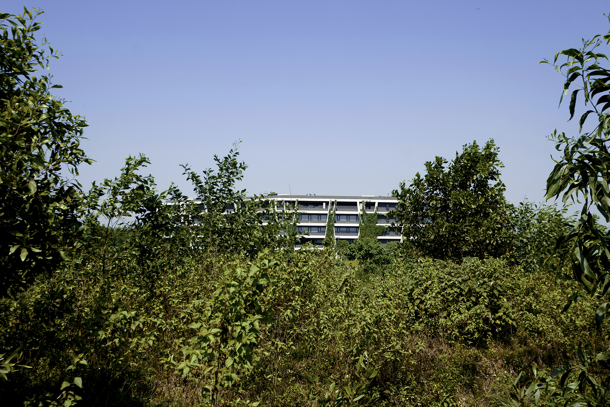 Galería de Concrete Lace / G8A Architecture & Urban Planning - 13