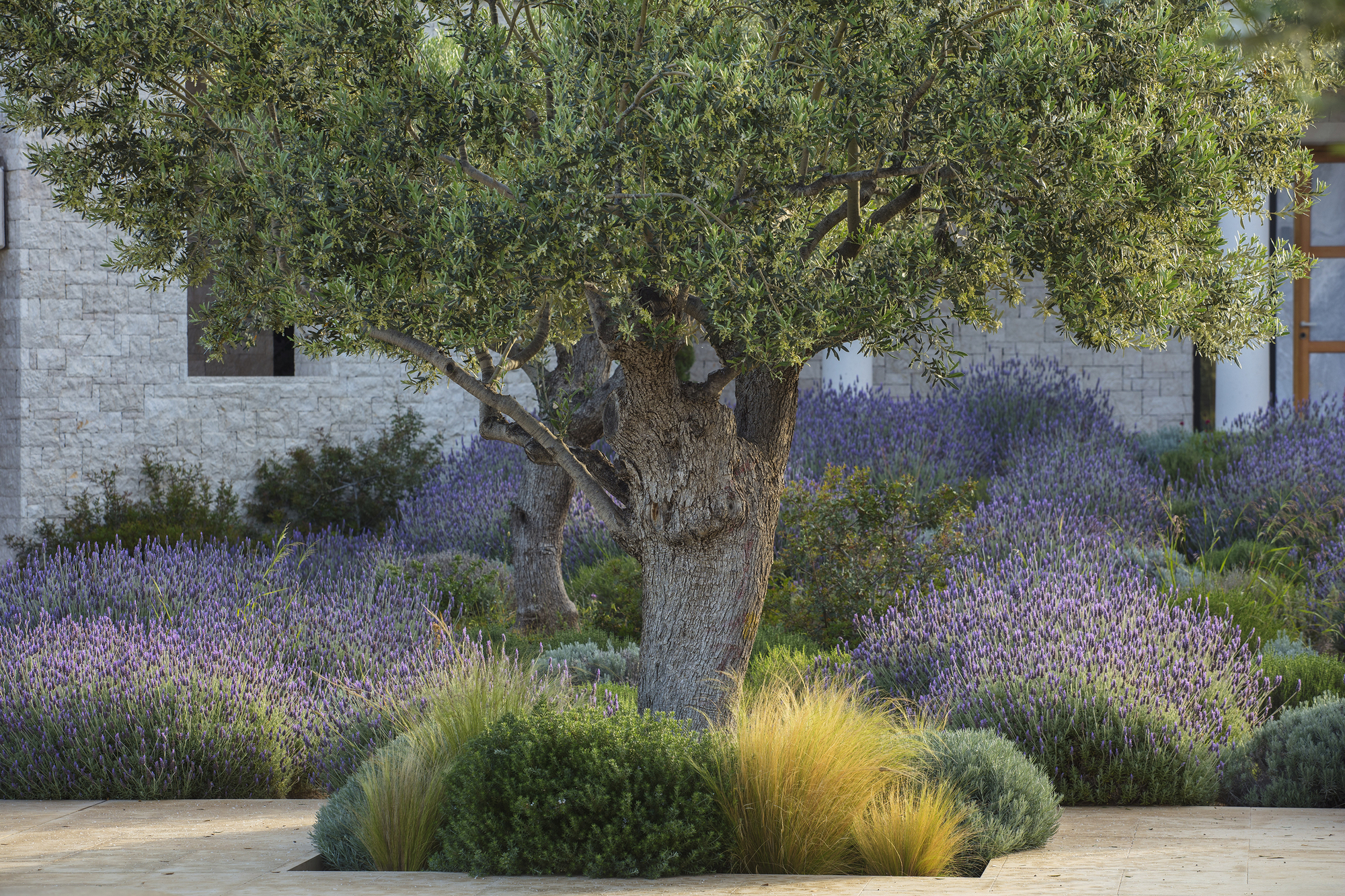 Gallery of Amanzoe Luxury Hotel & Villas / Edward Tuttle ...