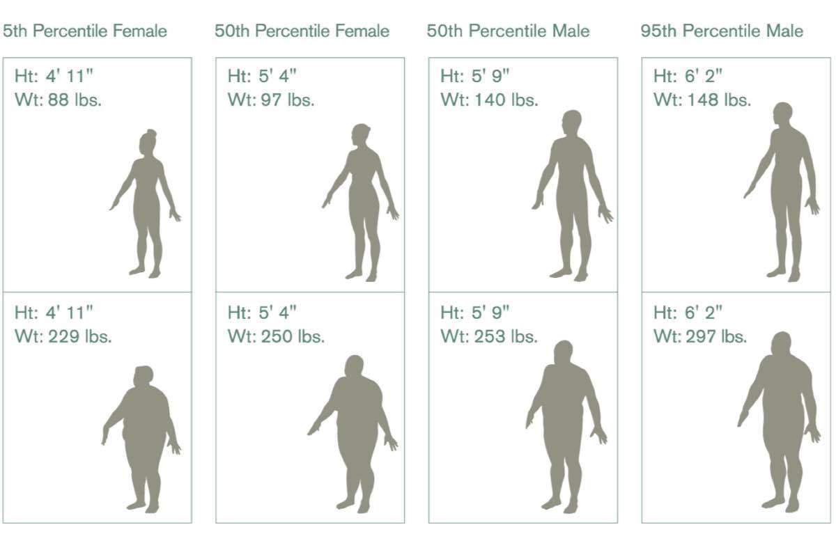 Galer a De Entendiendo El Cuerpo Humano C mo Dise ar Para Personas De Galer a De Entendiendo El Cuerpo Humano C mo Dise ar Para Personas De