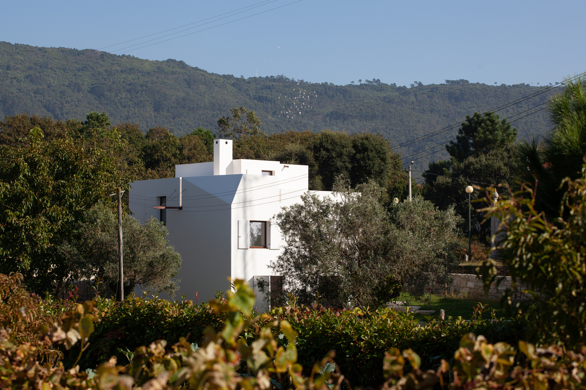 Gallery of House in Afife / Guilherme Machado Vaz - 17
