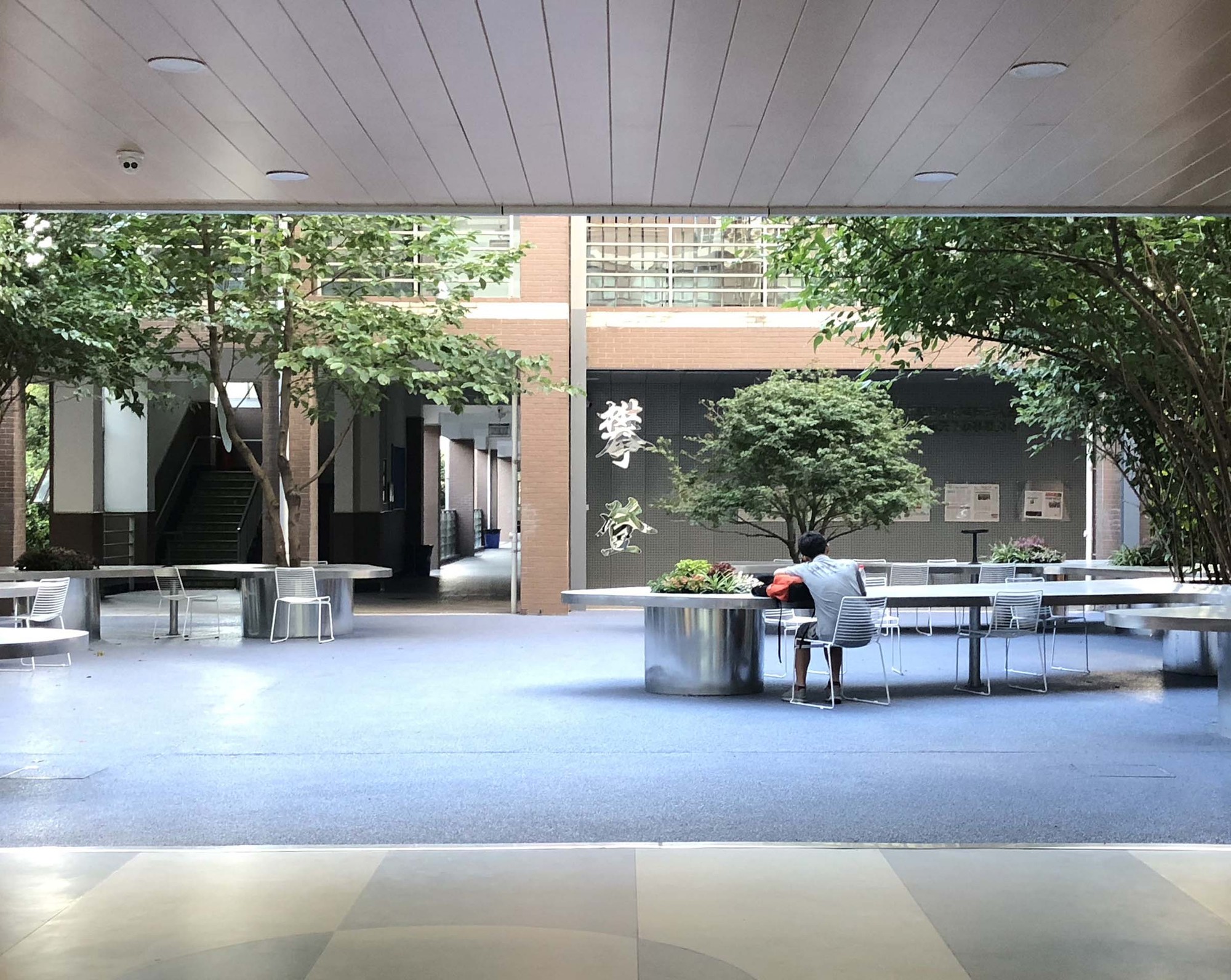 Gallery of Tree Desk Garden / Da landscape - 17