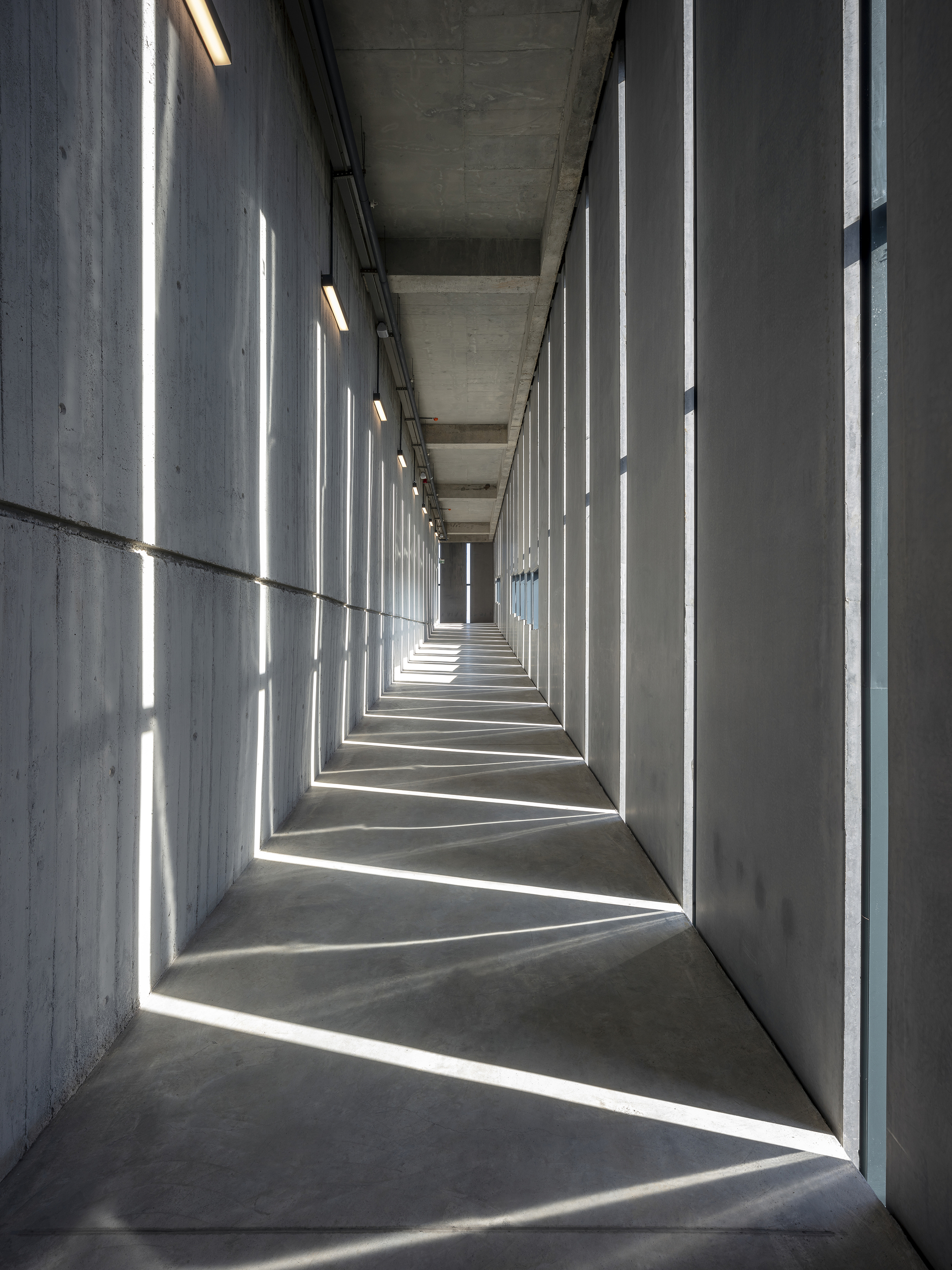 Gallery of Museum of Troy / Yalin Architectural Design - 17