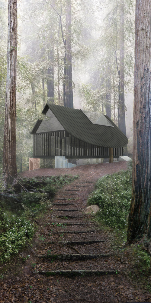 Gallery of The Stump House offers a "Lyrical and Pragmatic" Live-Work ...