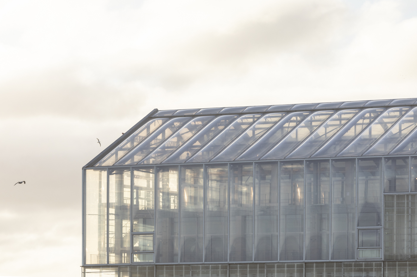 Gallery of Lacaton & Vassal's FRAC Dunkerque is an Architectural Echo ...