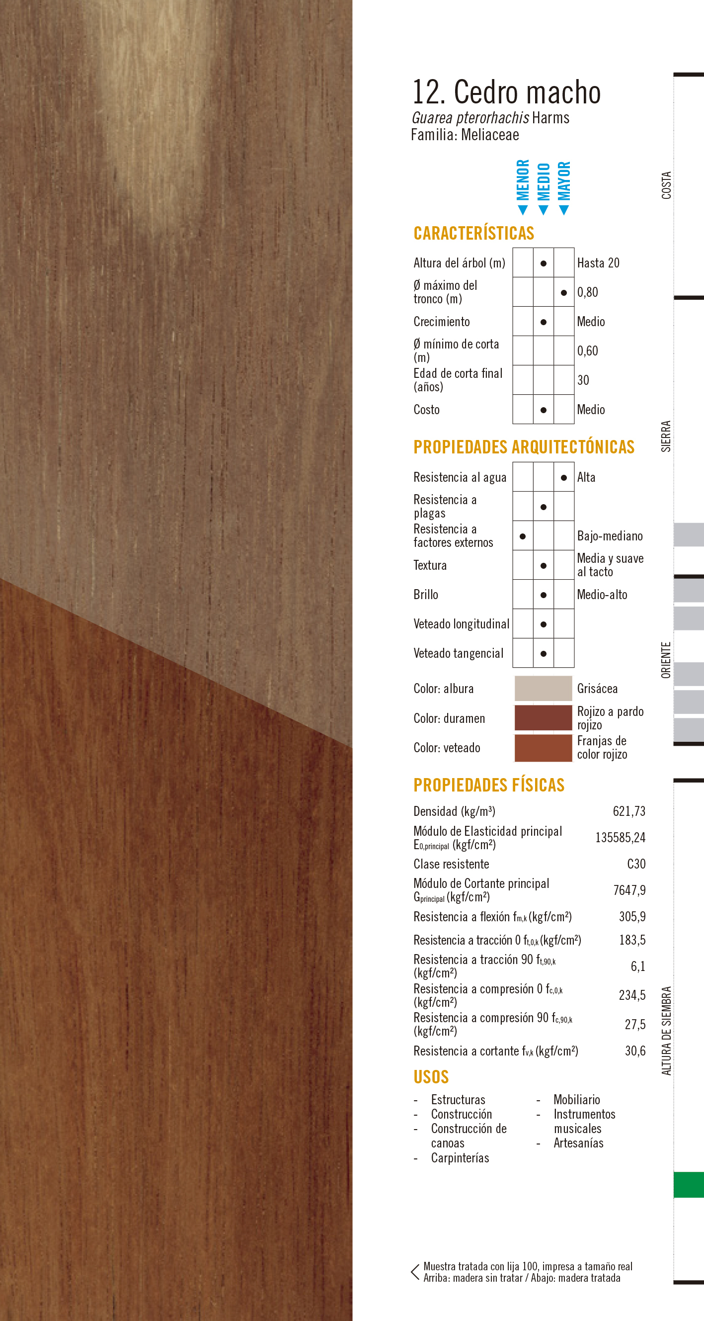 Galería de Catálogo de Madera Estructural del Ecuador - 6