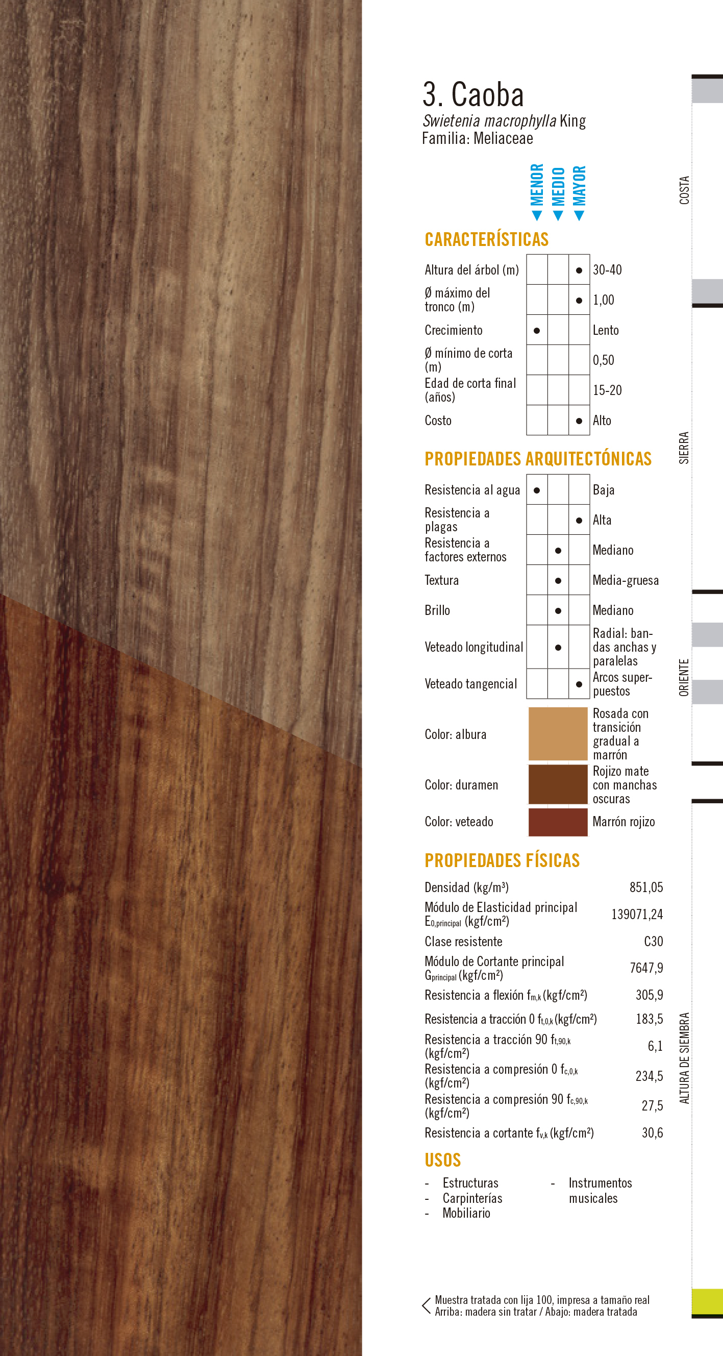 Galería de Catálogo de Madera Estructural del Ecuador - 4