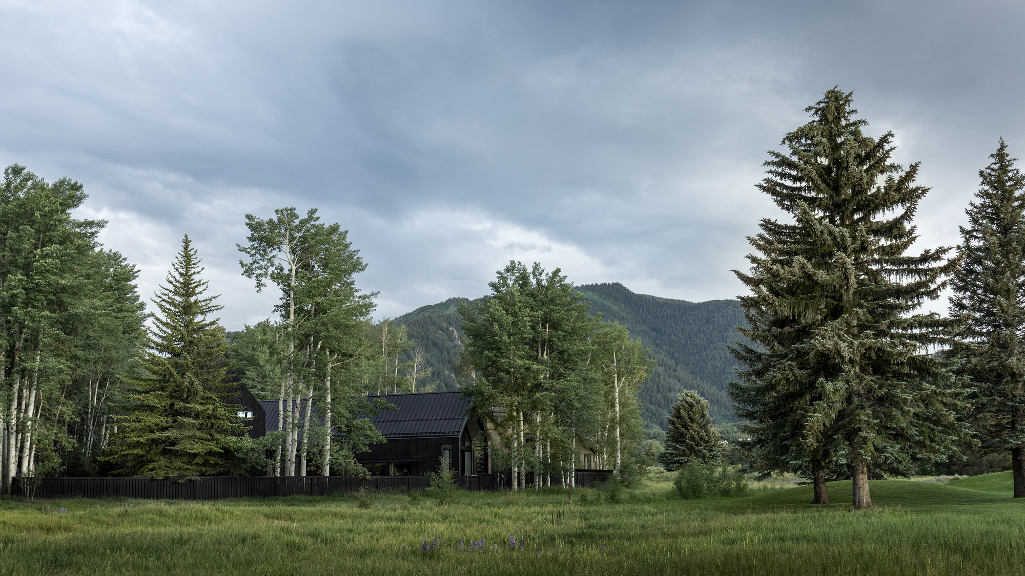 Gallery of V-Plan / Studio B Architects - 11