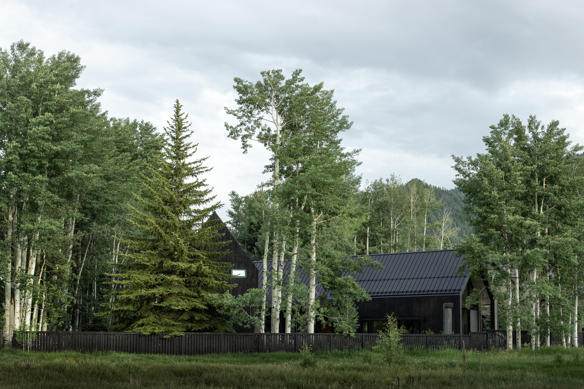 Gallery of V-Plan / Studio B Architects - 5