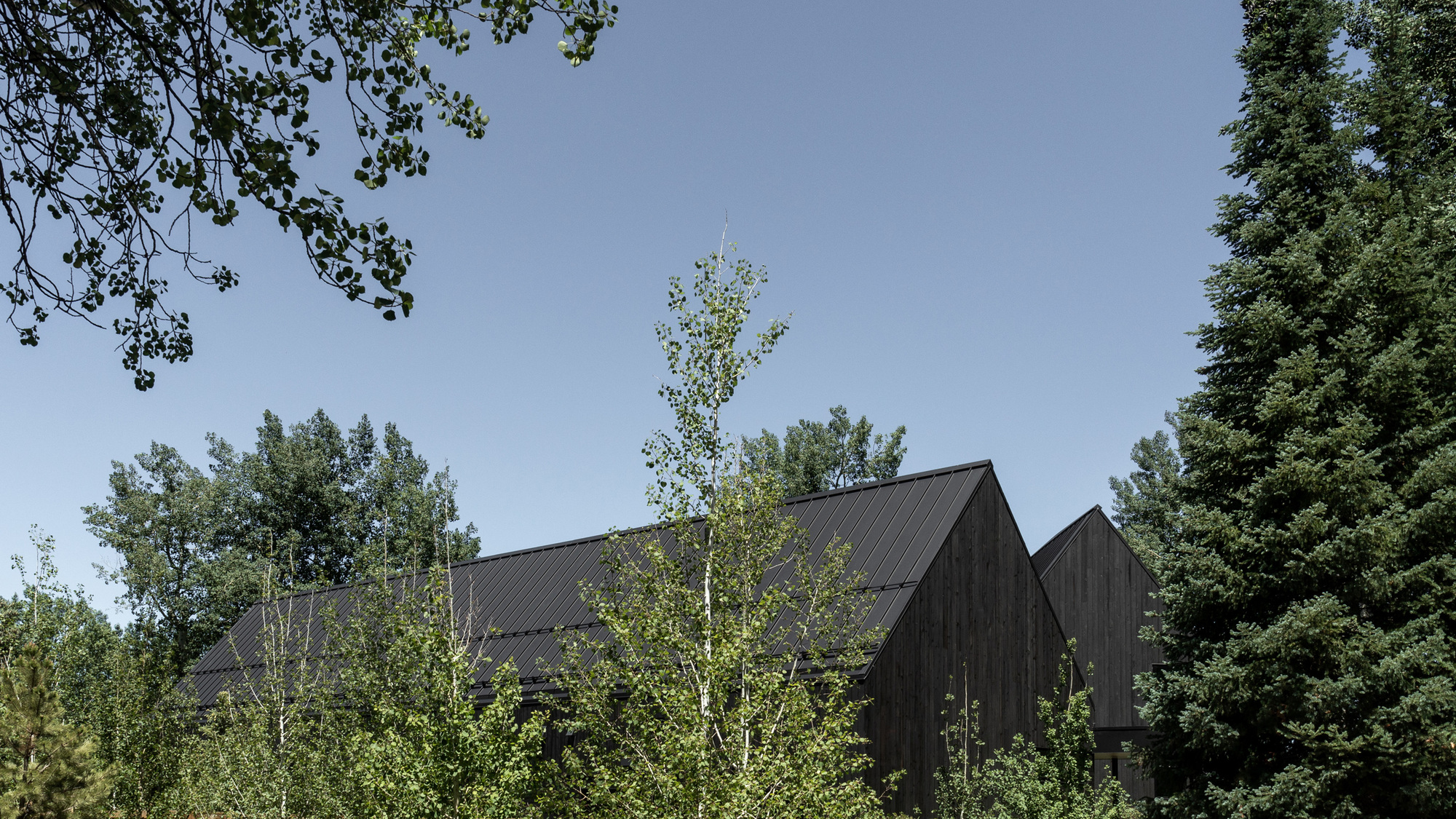 Gallery of V-Plan / Studio B Architects - 10