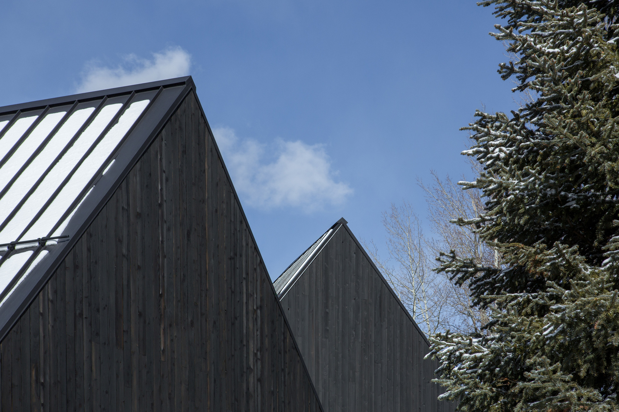 Gallery of V-Plan / Studio B Architects - 15