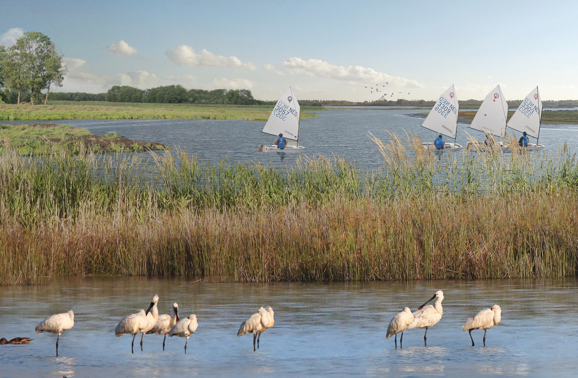 Gallery of Mecanoo Designs the World's Largest Man-Made Nature Park - 2