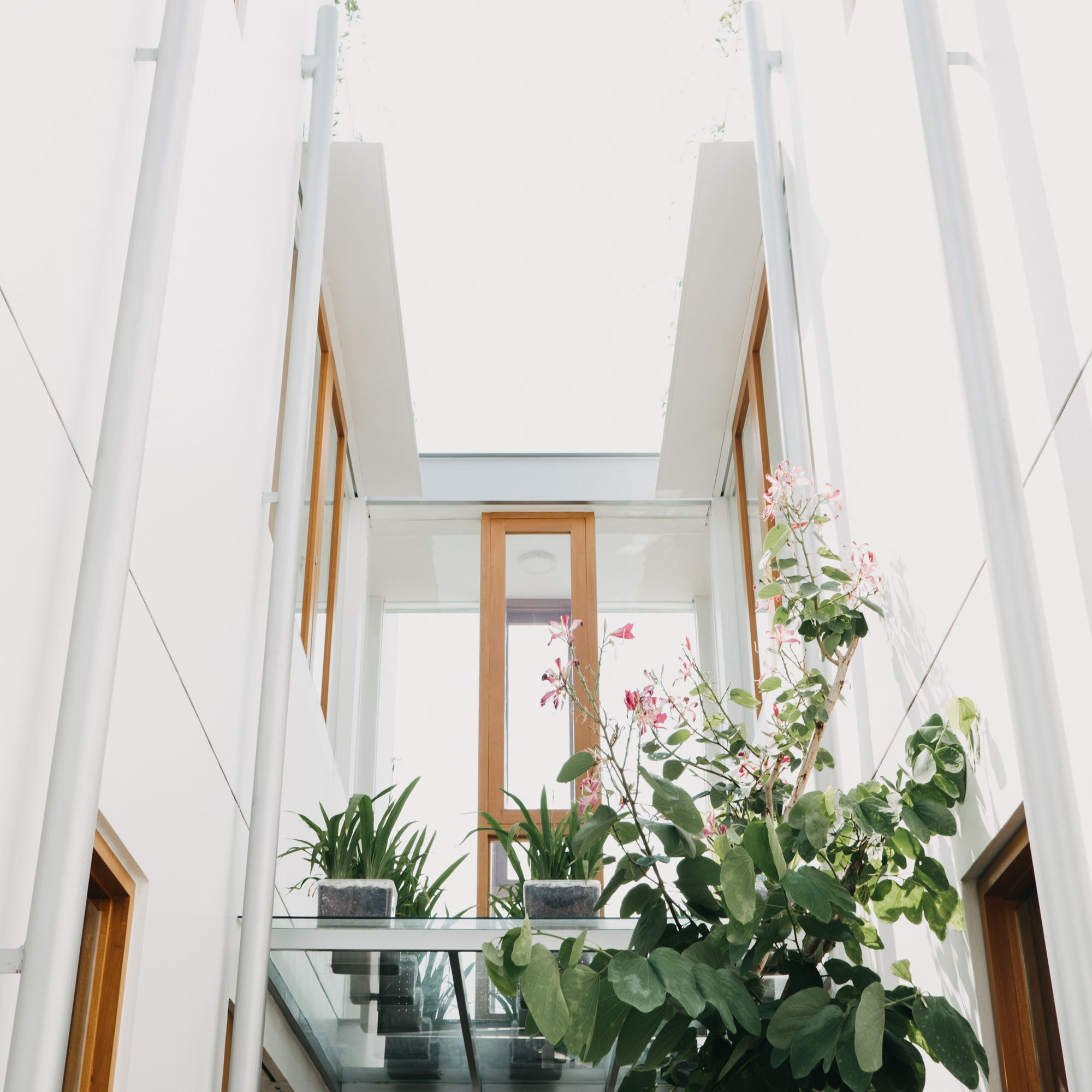 Gallery of Gemala House / LUWIST - 21