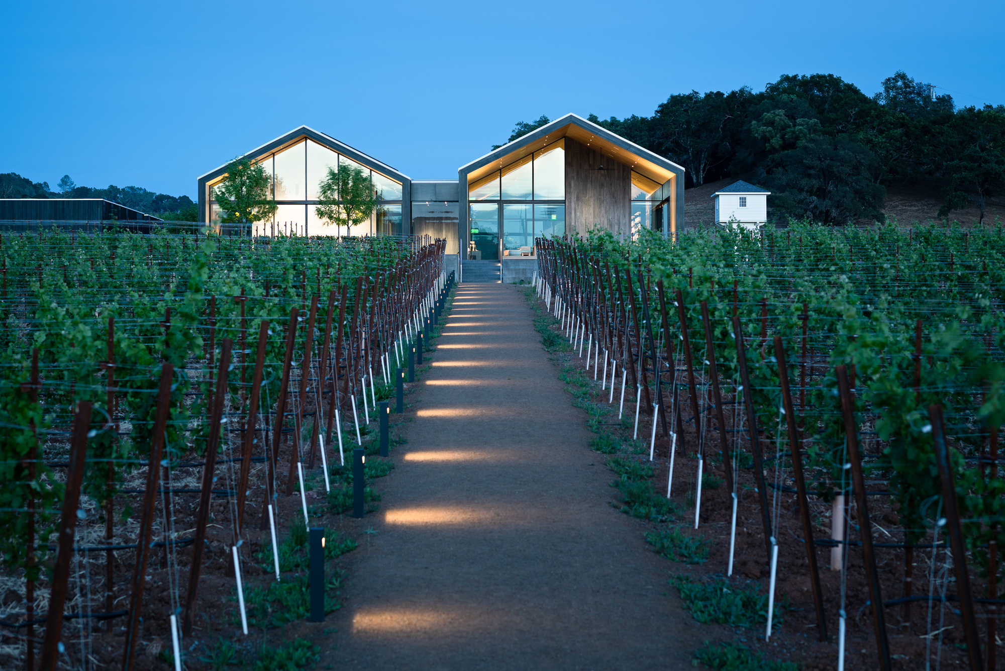 Gallery of Silver Oak Winery / Piechota Architecture - 28