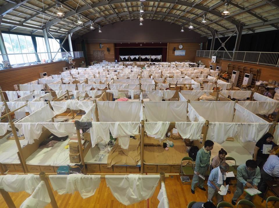 Gallery of Cardboard: From Industrial Workhouse to Shigeru Ban’s Master ...