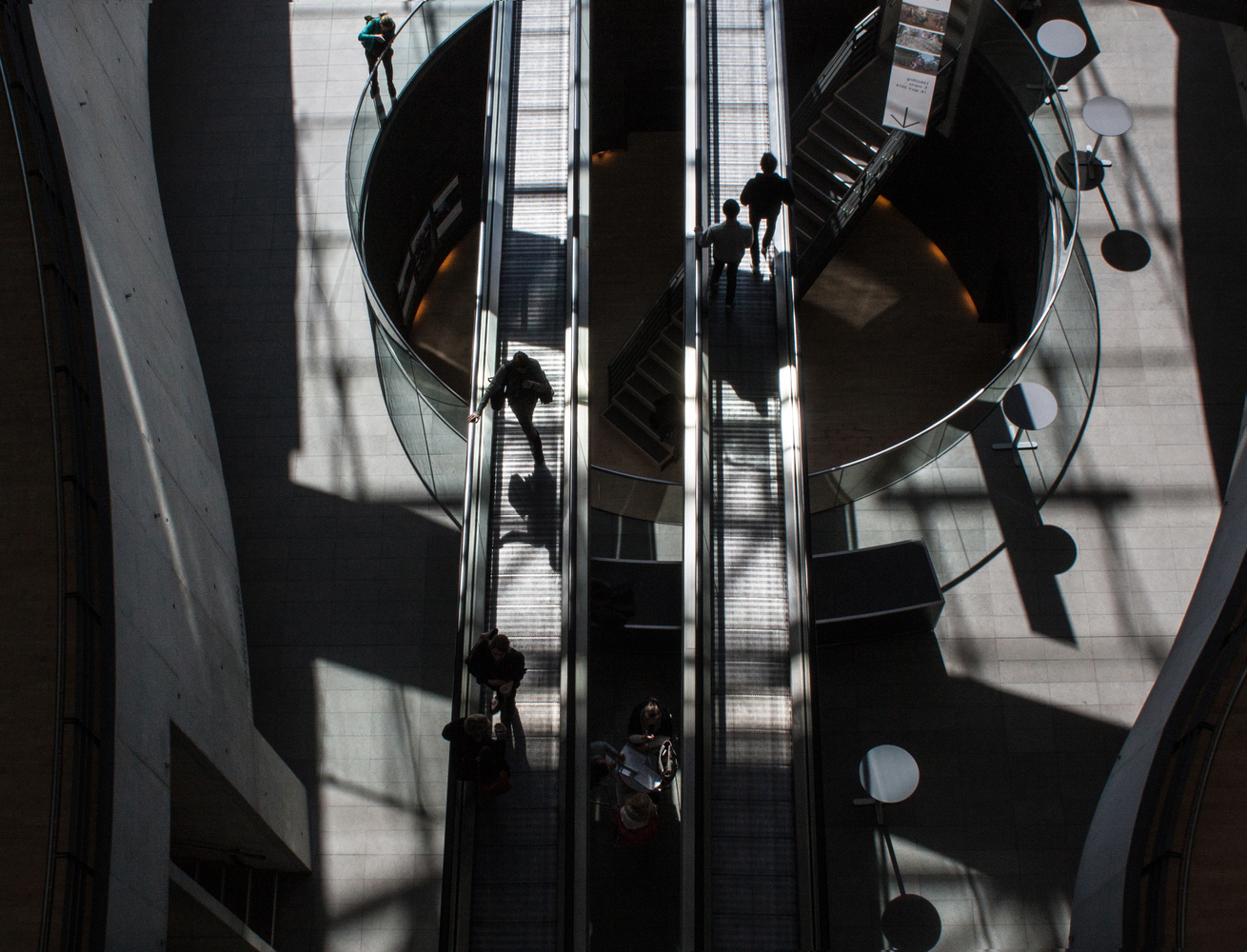 Gallery of The Royal Library / SHL - 6