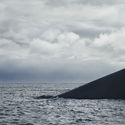 Under / Snøhetta | ArchDaily