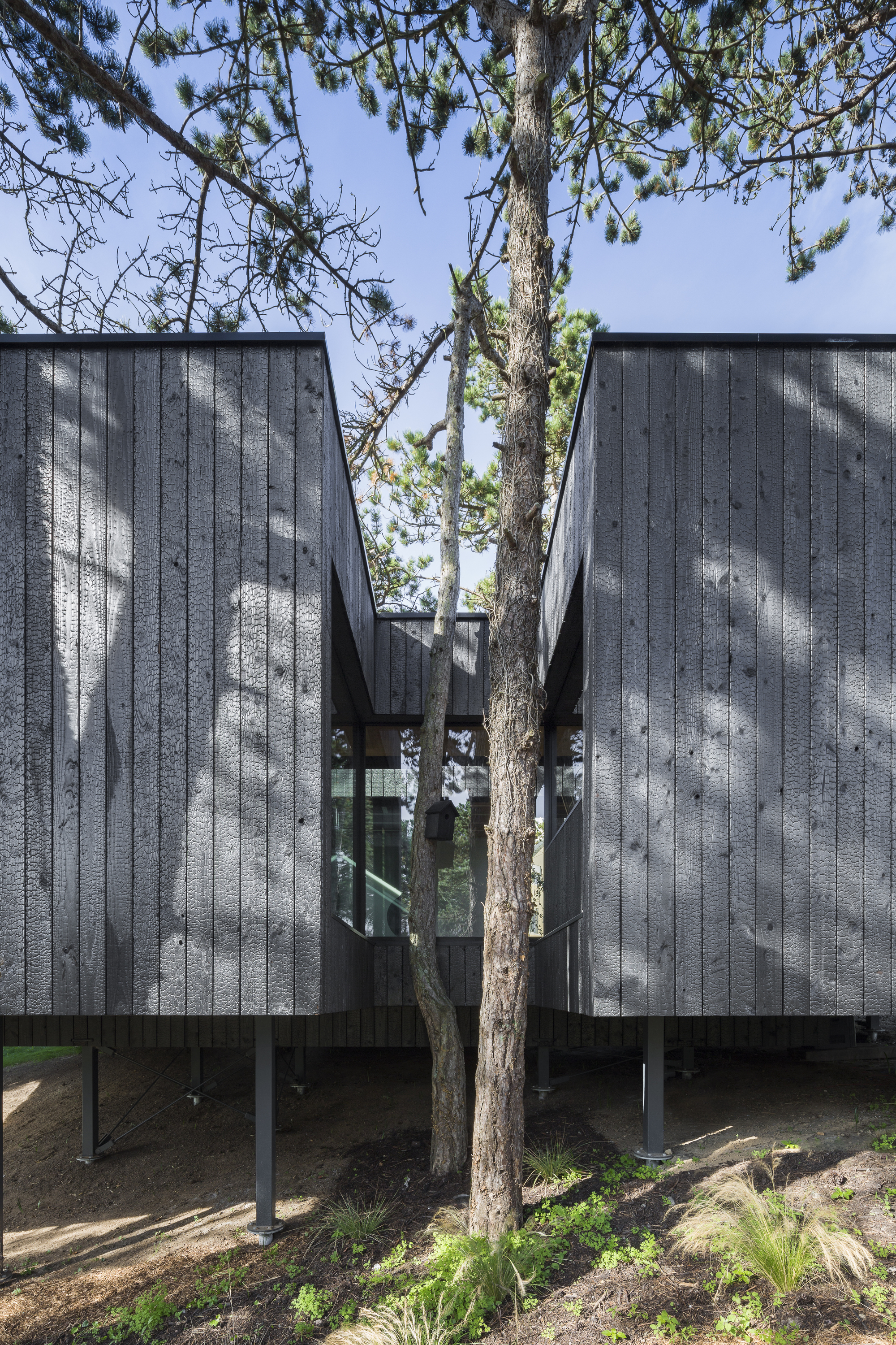 Gallery of Treehouse / Atelier Victoria Migliore - 6