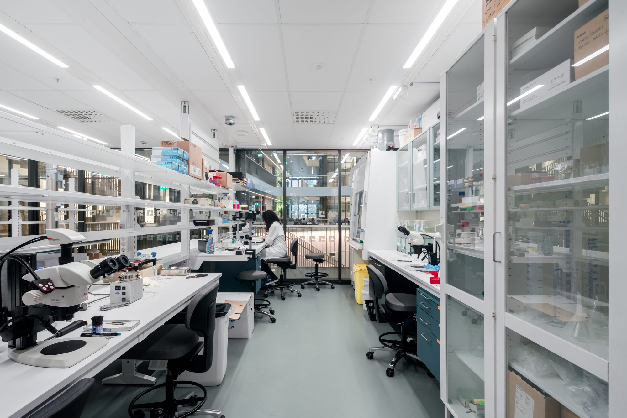 Gallery of Biomedicum Laboratory Building / C.F. Møller - 27